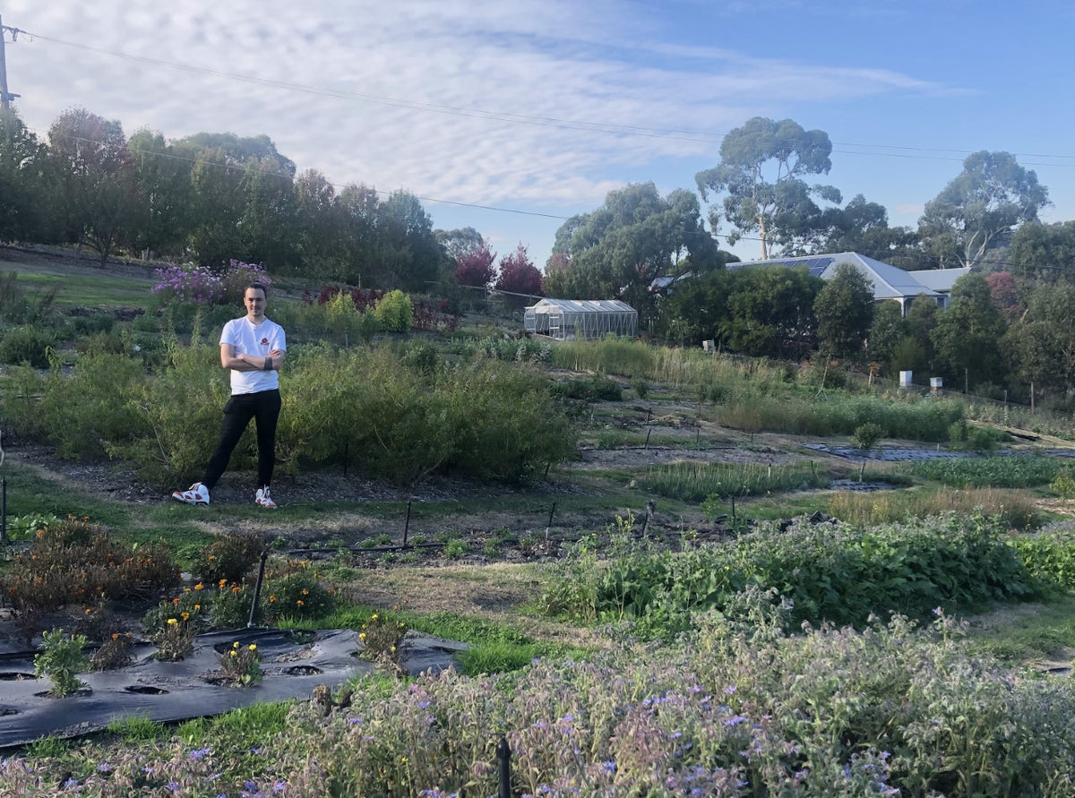 Spurrell Foraging – OHO Markets